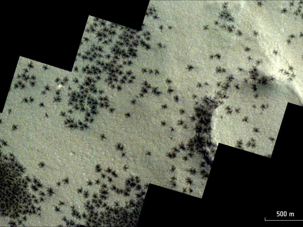 Spiders on Mars? Here's what they really are according to ESA | The picture