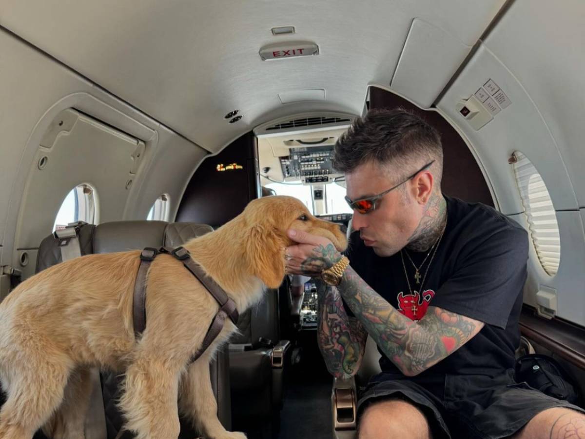 Fedez and the dogs that become exhibits