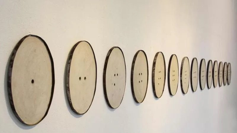 Numbers and the Arts. Artists and numbers between the 20th and 21st ...